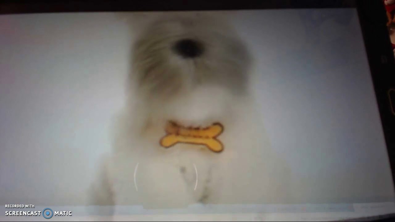 agnes and amanda - YouTube