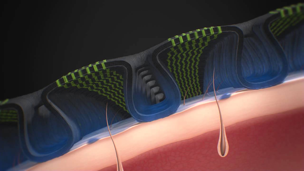 X-BIONIC® 3D-BionicSphere® System - YouTube