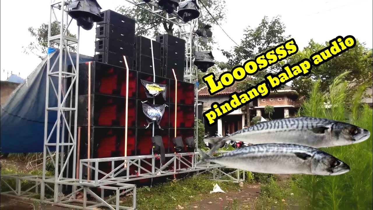 pindang balap audio, spek terbaru dengan box planar nya || hajatan ...