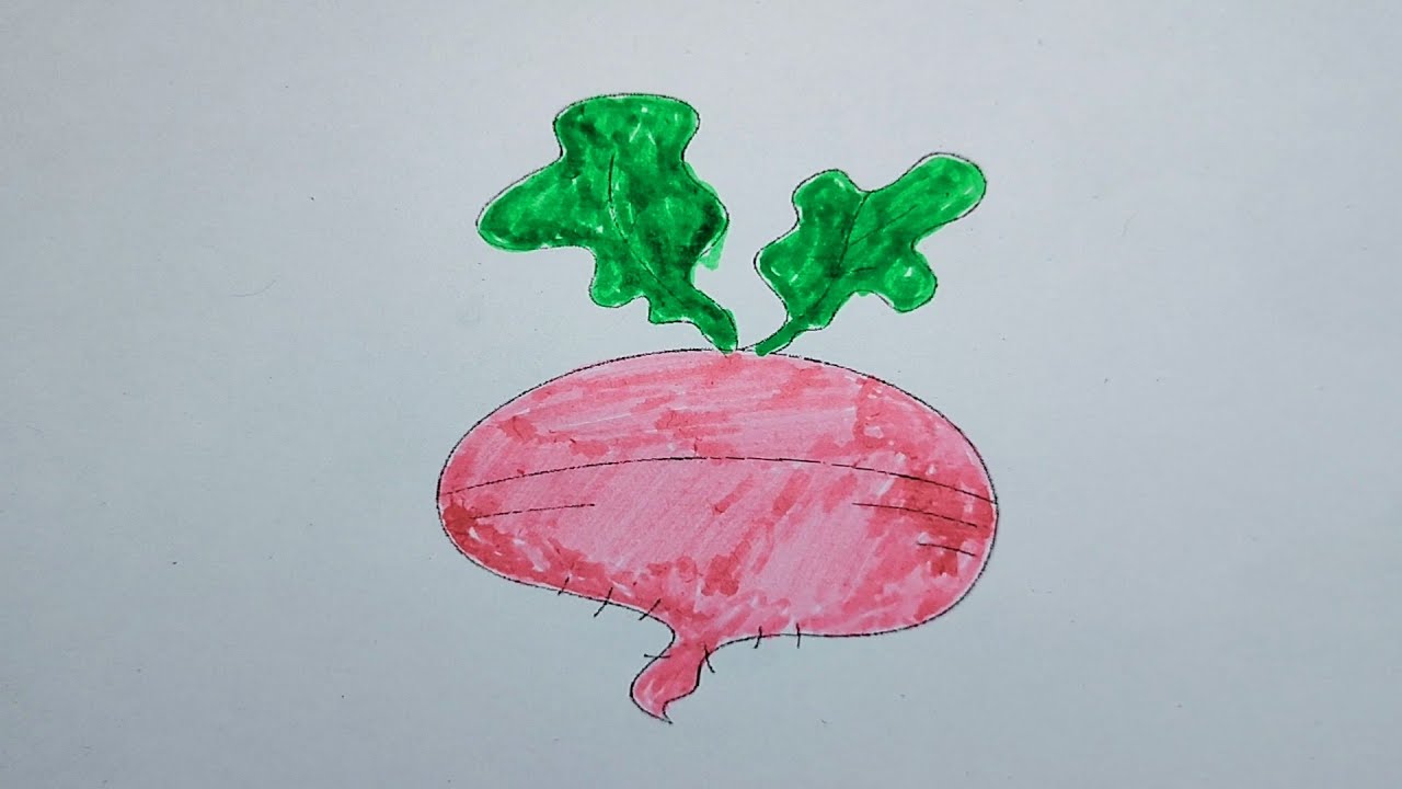 Kid beetroot Drawing Colour - YouTube