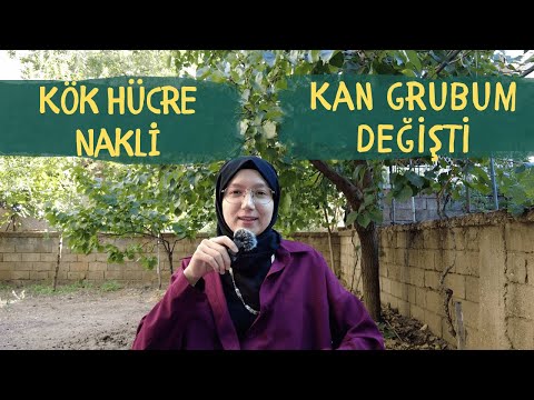 2. kez kanser ⎸⎸ kök hücre nakli oldum, kan grubum değişti ⎸⎸ #lösemi #lenfoma