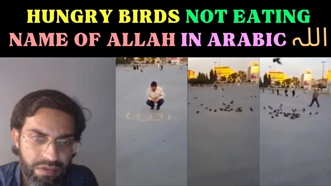 Miracles of Allah Caught on Camera: Birds Not Eating Allah's Name ...