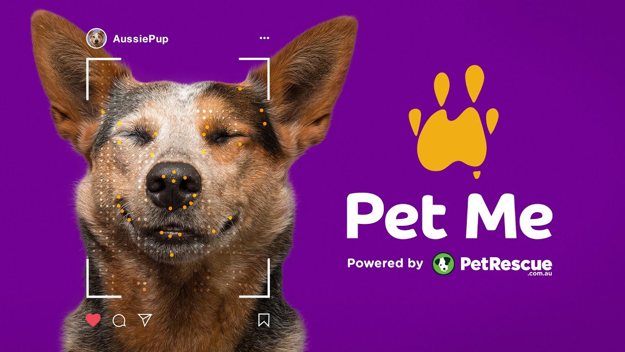 A dog obsessed AI - PetMe - YouTube