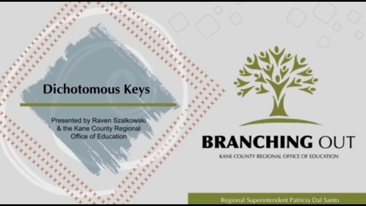 Branching Out: Dichotomous Keys - YouTube