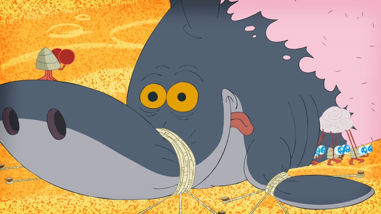 Zig & Sharko | CRAZY SHARKO 🤓 Compilation Cartoons for Kids - YouTube