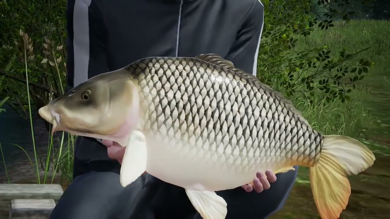 Und wieder am See Angeln die Fische beißen gut - YouTube