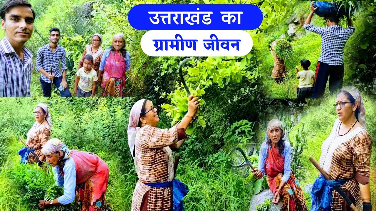 उत्तराखंड का ग्रामीण जीवन Ep 01 || Village Life of Uttarakhnd || Pahadi ...