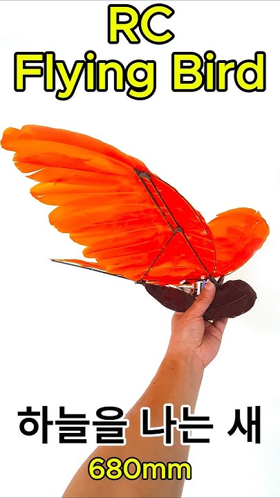 RC Flying bird _ 하늘을 나는 새 680mm _ Ornithopter #Ornithopter #Flapping ...