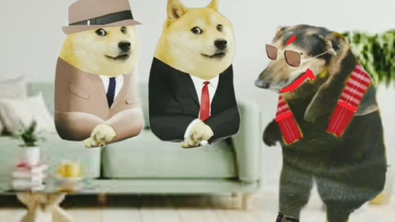 Comedy video with dogesh | Dogesh memes comedy | Vidhayak comedy and ...