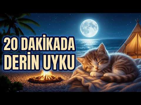 20 Dakikada Uyutan Mucizevi Uyku Müziği (Uyku Düzensizliği Yaşayanlar Mutlaka Uygulasın)