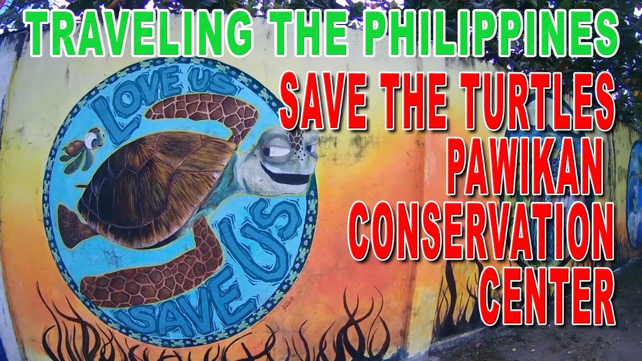 Pawikan Conservation Center Morong Bataan || Sea Turtle 2020 - YouTube