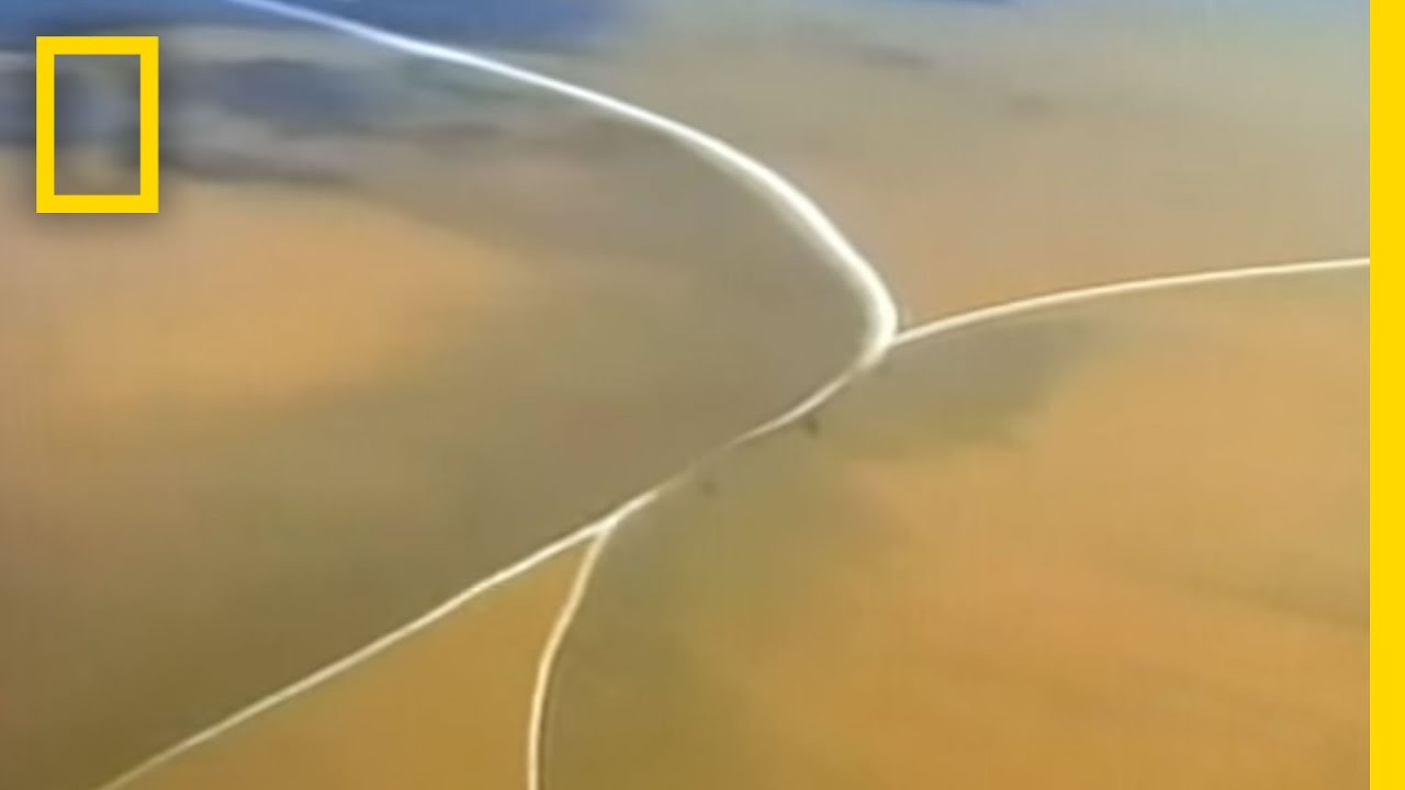 Annual Wave | National Geographic - YouTube