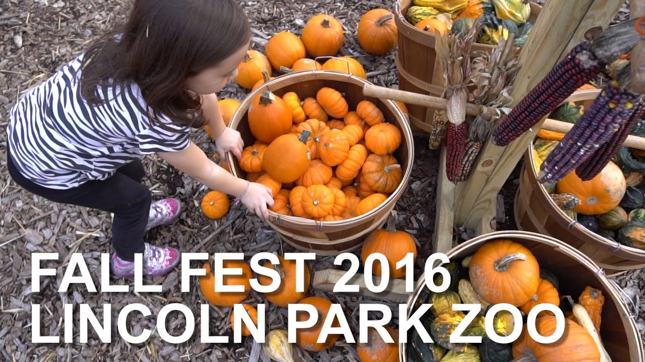FALL FEST 2016 LINCOLN PARK ZOO | sony a6300 - YouTube