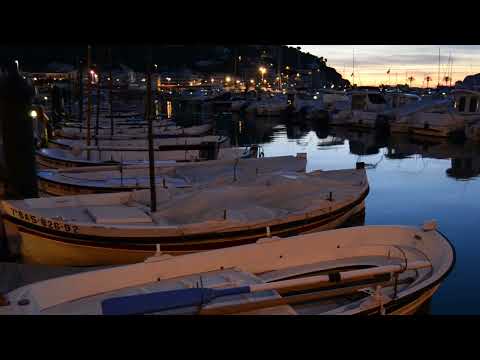 Sunrise Serenity by the Marina - Screensaver video