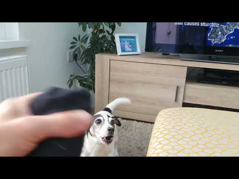 Stumpy annoyed about a child's feet being tickled.