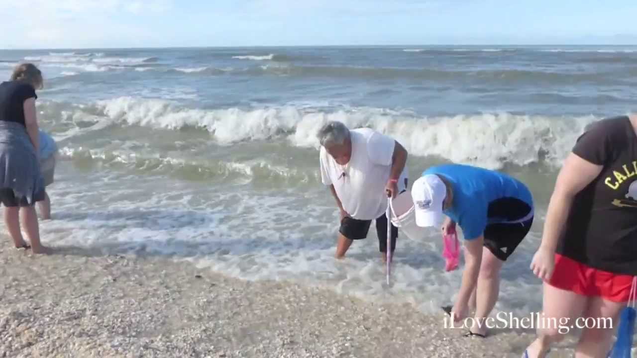 Sanibel Shell Shuffle - YouTube