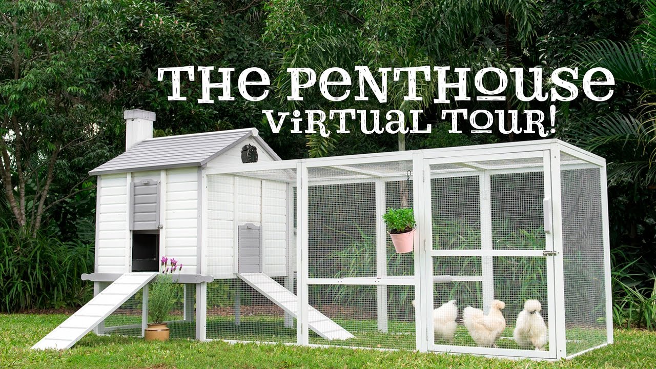 Penthouse Chicken Coop - Virtual Tour! - YouTube