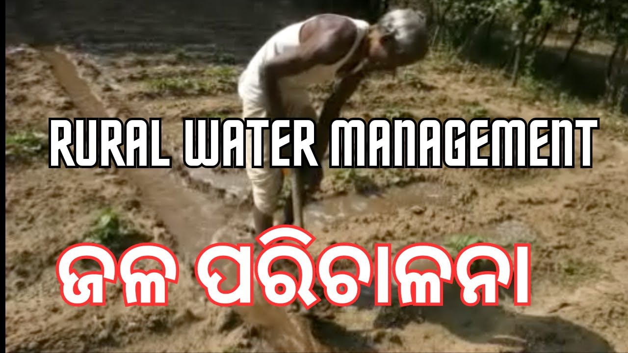 RURAL WATER MANAGEMENT !! ଜଳ ପରିଚାଳନା !! #watermanagement #agriculture ...