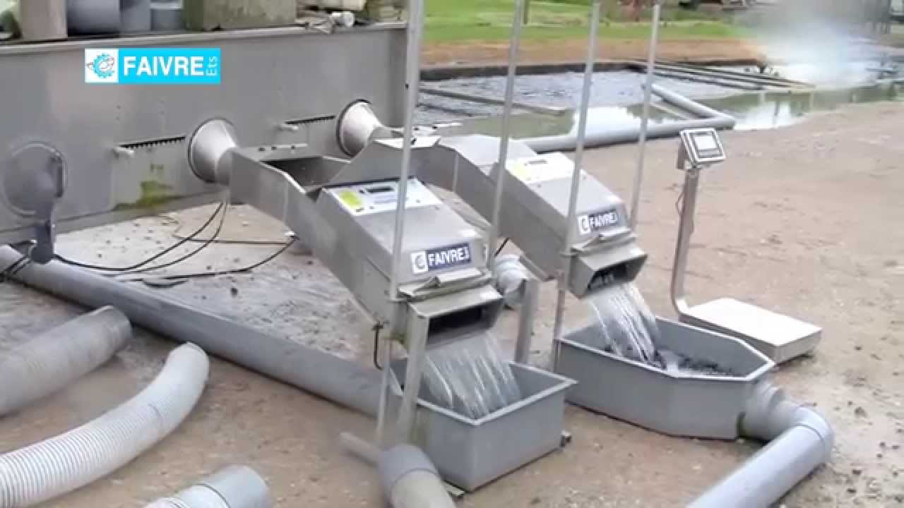 FISH PUMP(피시펌프) - YouTube