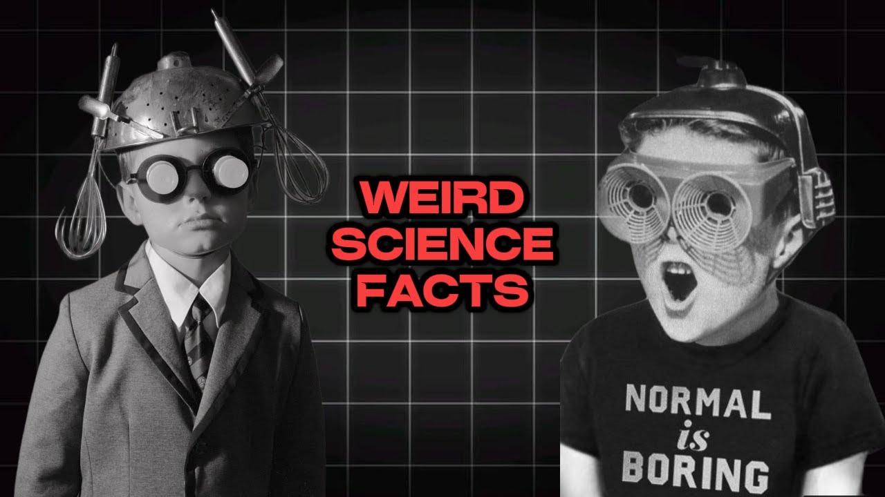 33 Weird Science Facts That Will Blow Your Mind - YouTube