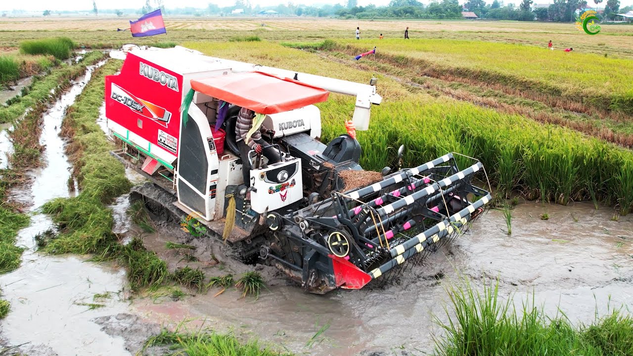 Awesome Kubota Combine Harvester DC105X Harvesting Rice In Deep Muddy ...
