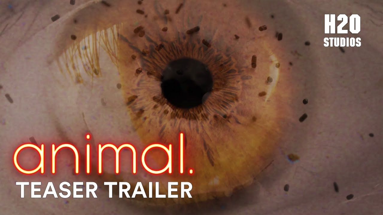 animal. | Official Teaser Trailer - YouTube