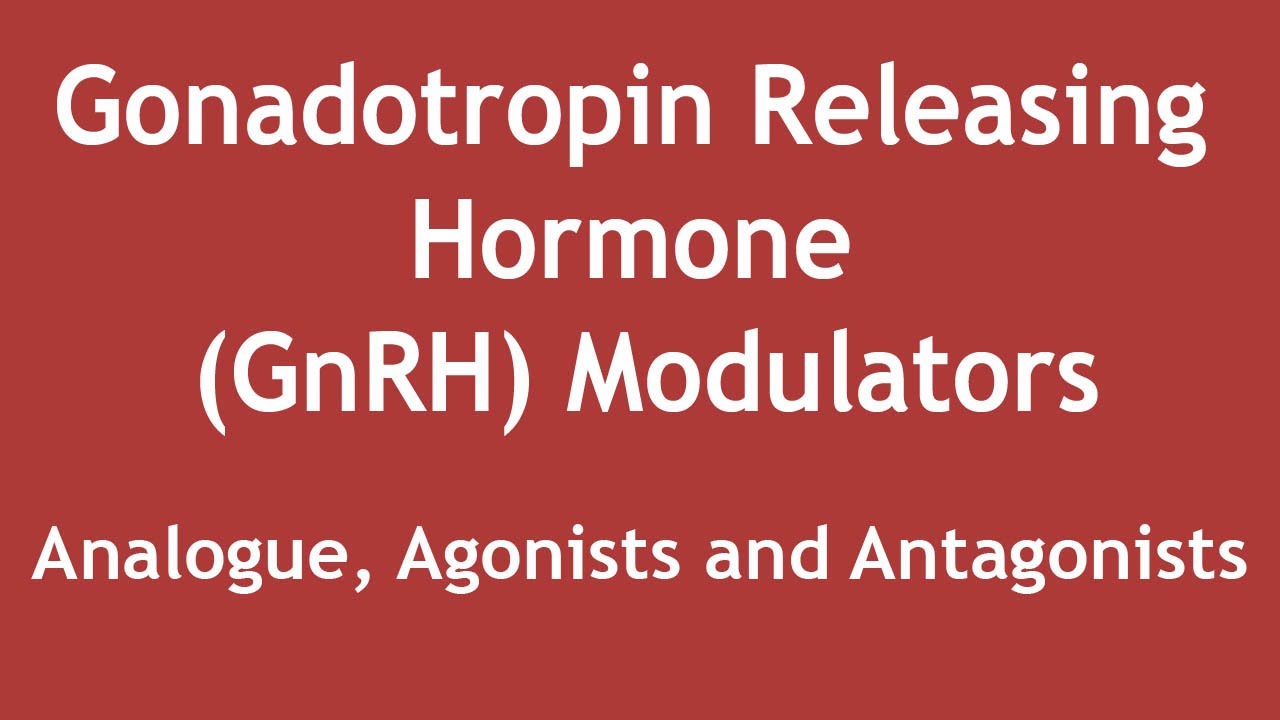 Gonadotropin Releasing Hormone (GnRH) Modulators - Analogue, Agonists and Antagonists [ENGLISH ...
