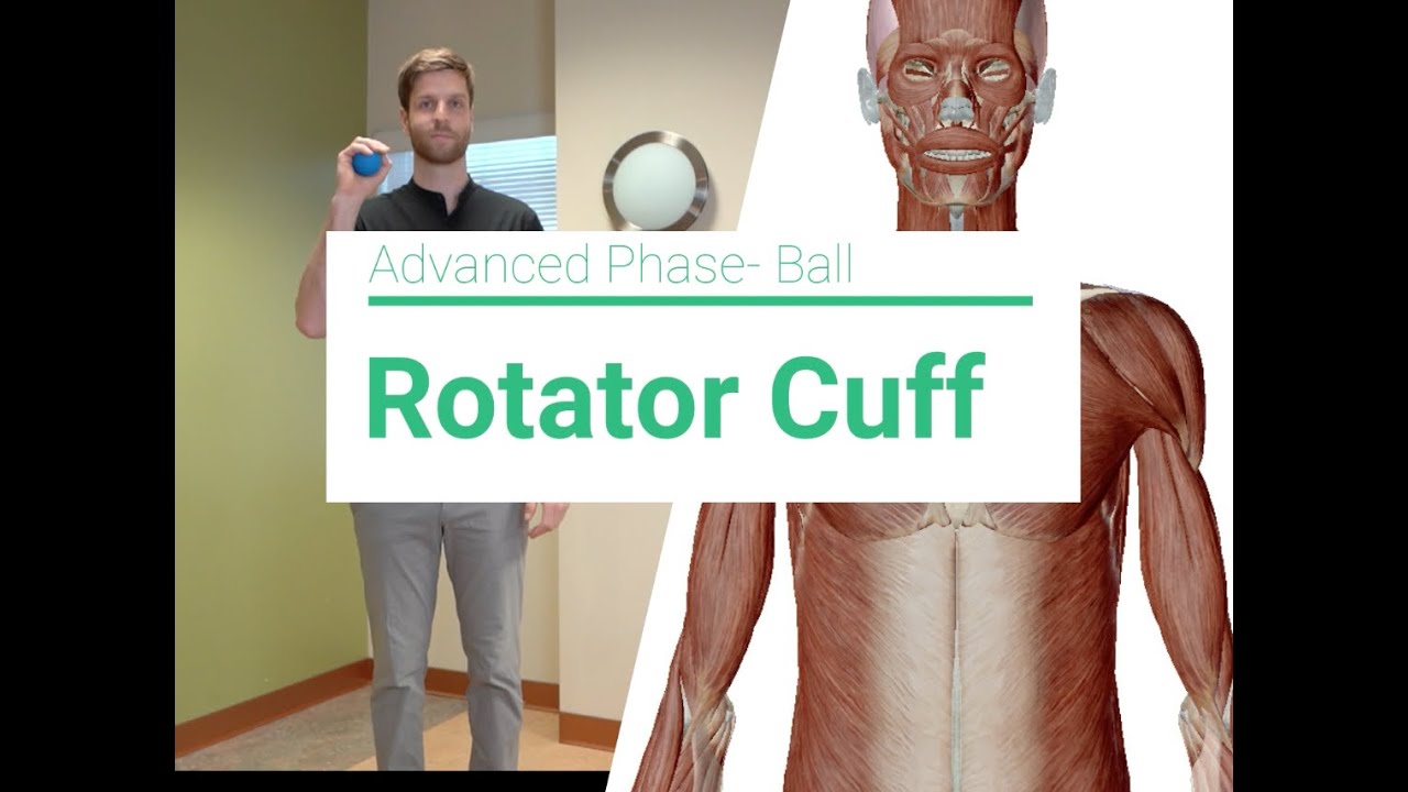 Rotator Cuff Advanced Phase - BALL - YouTube