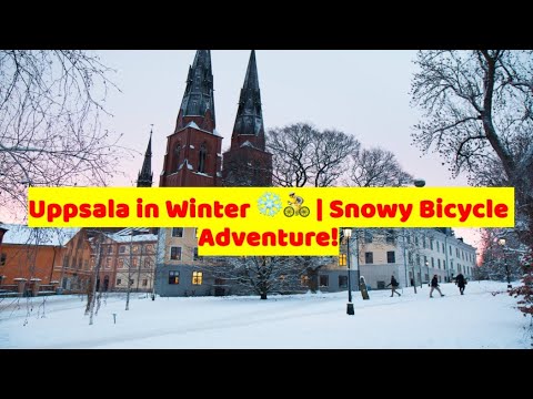 Uppsala in Winter ️ | Snowy Bicycle Tour & Adventure - YouTube