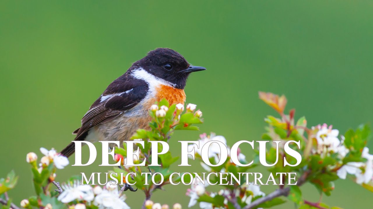 Deep Focus - Focus Music for Work and Studying, Background Music for ...