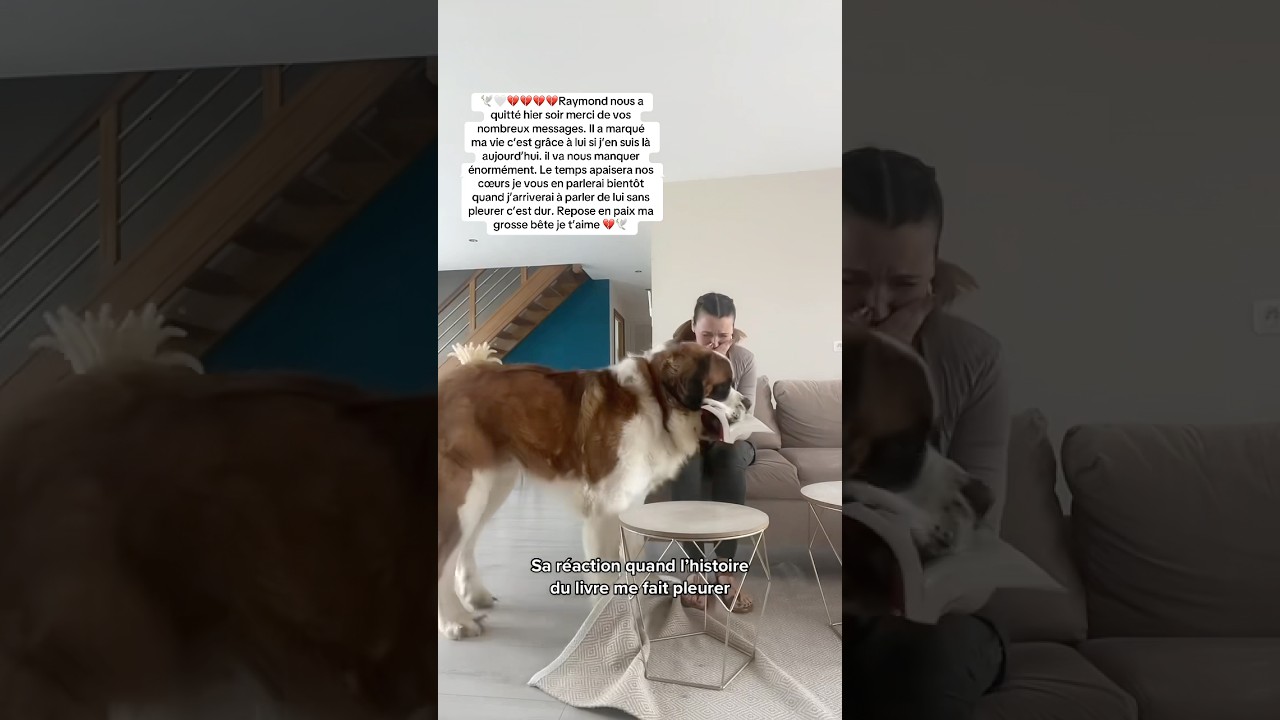 Merci pour tout mon Raymond 💔 - YouTube
