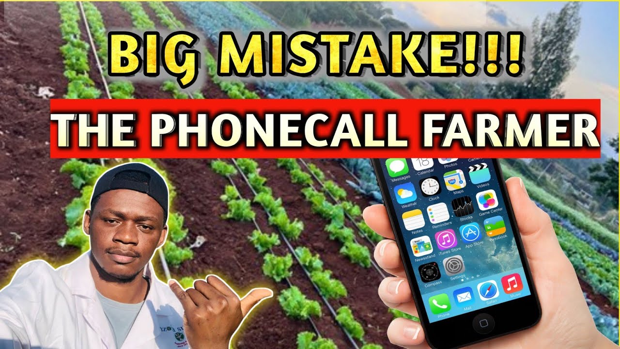 How To Be A SUCCESSFUL PHONE CALL Poultry Farmer - YouTube