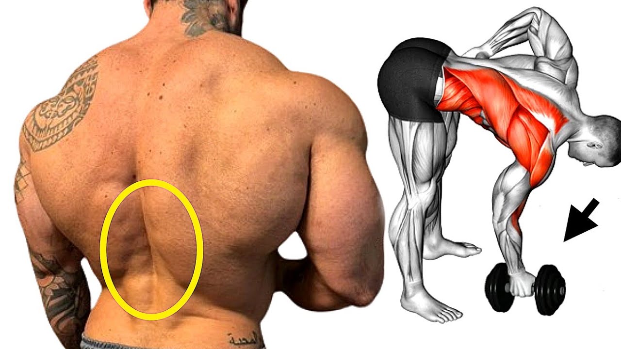 Effective Back Workout Gym to Push Muscles Growth - YouTube