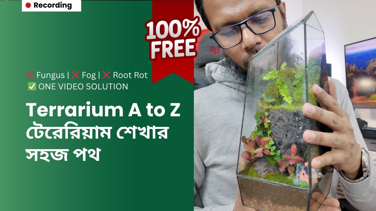 Terrarium A to Z Explained | All Problems & Solutions | Full Webinar ...