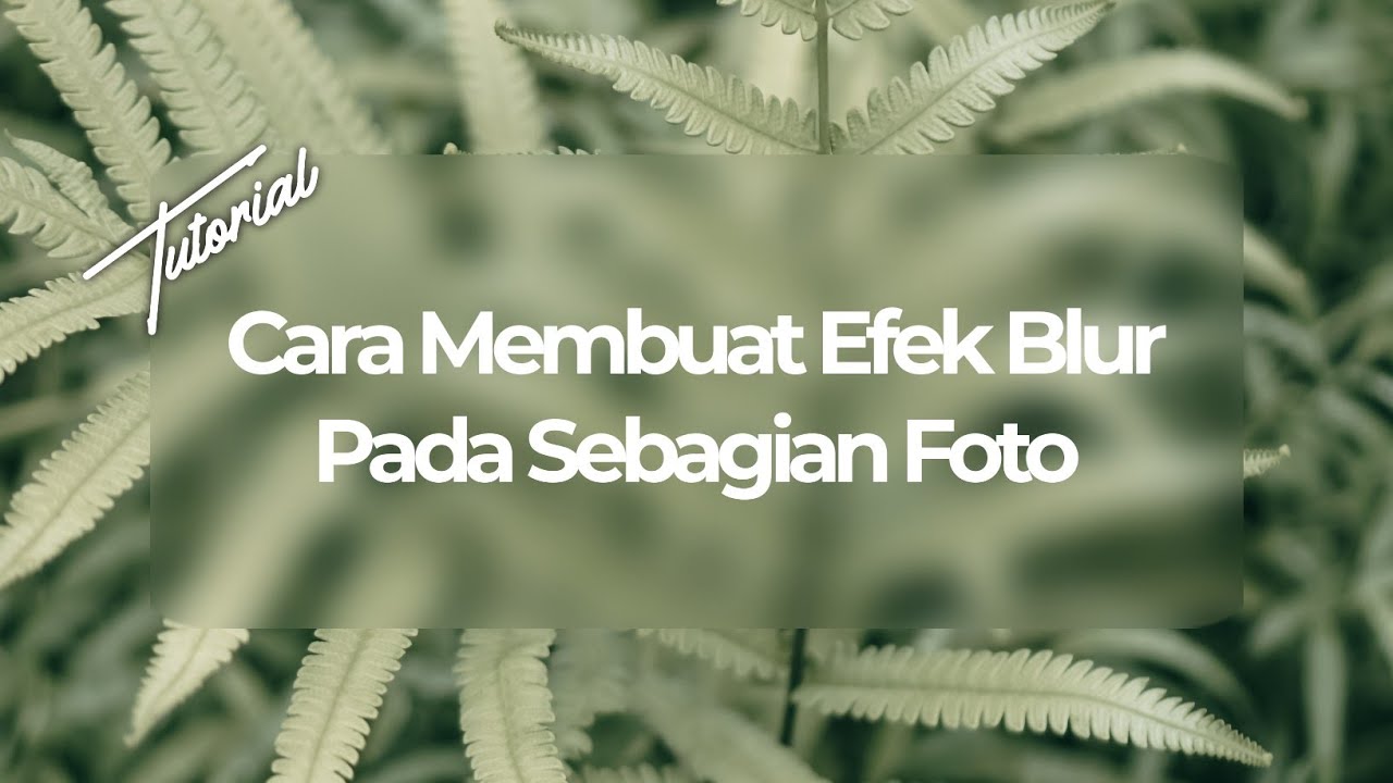 CARA MEMBUAT EFEK BLUR PADA SEBAGIAN FOTO - YouTube