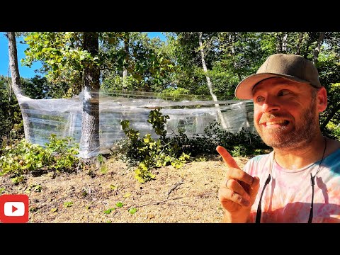 I BUILT A MASSIVE PLASTIC WRAP SHELTER AND STAYED THE NIGHT!