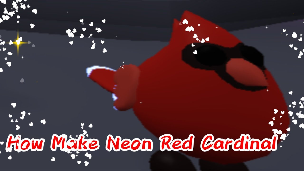 How maka a Neon Red Cardinal In Adopt me - YouTube