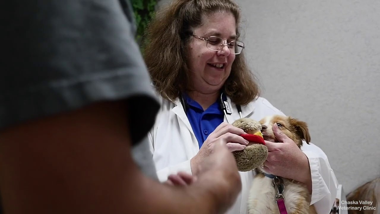 Welcome to Chaska Valley Veterinary Clinic - YouTube