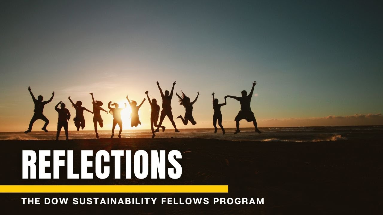 Reflections: The Dow Sustainability Fellows Program - YouTube