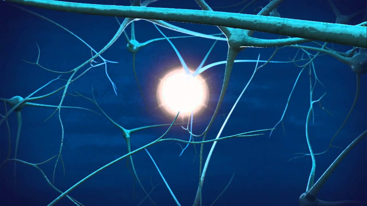 3D animation of neurons - behind the scene - YouTube