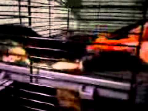 Mars' boyfriend/hostage - YouTube