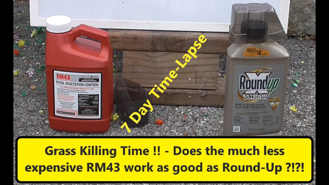 Round up Weed Killer vs RM43 - Save some money and still get the same ...