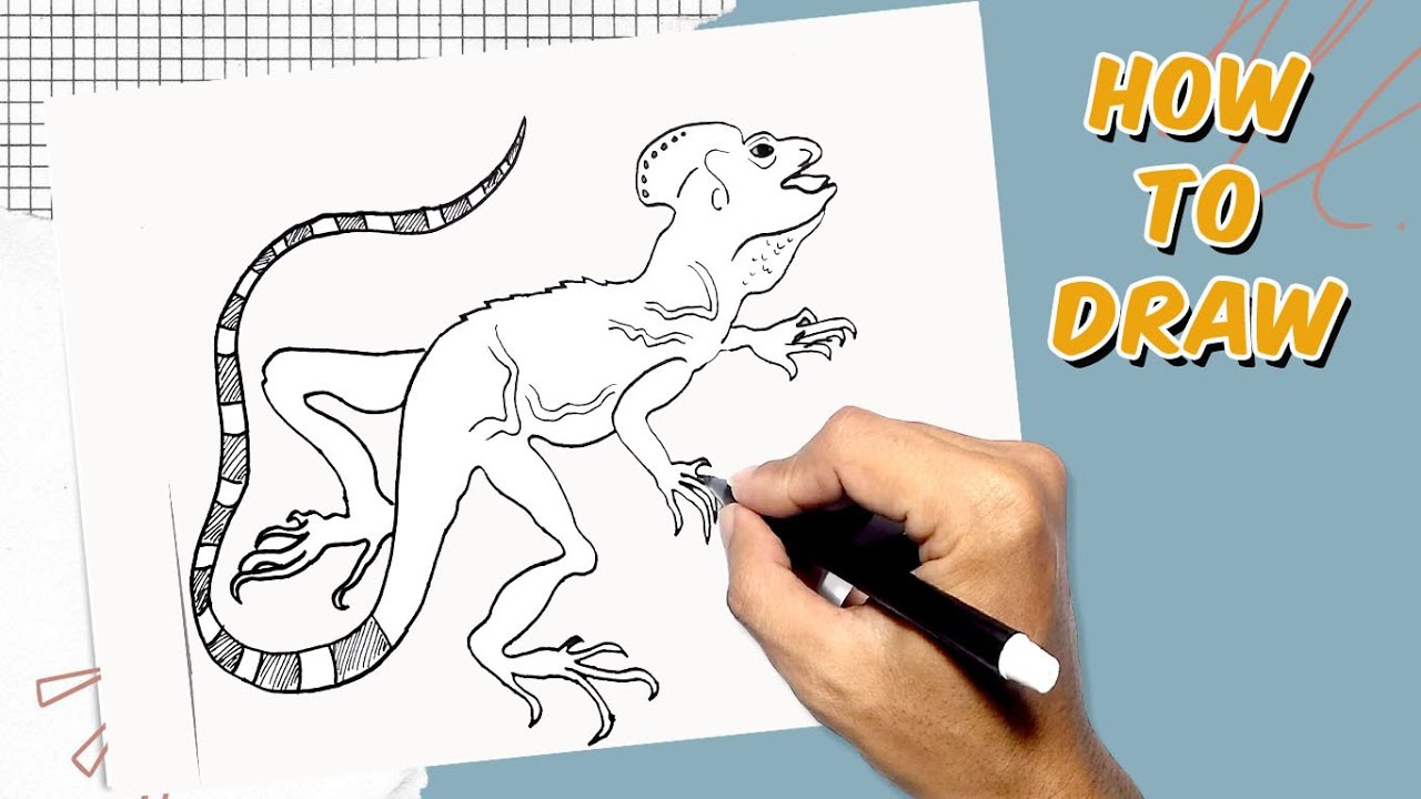 How to Draw Baisilisk Lizard - YouTube