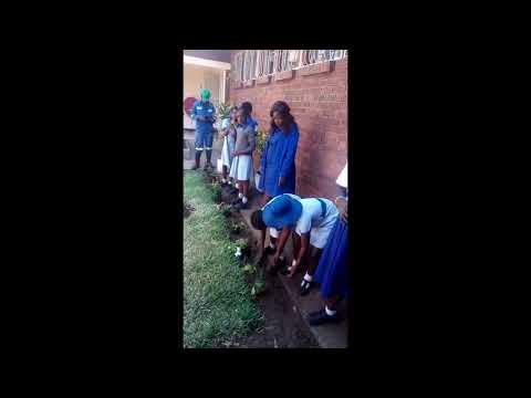 Louis Mt Batten Primary DFC-Zimbabwe - YouTube