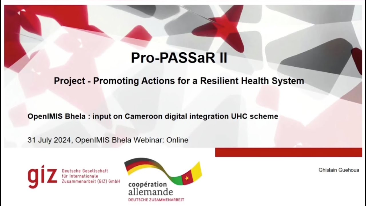 Ghislain Guehoua, Pro-PASSaR II - openIMIS Bhela, Input on Cameroon ...