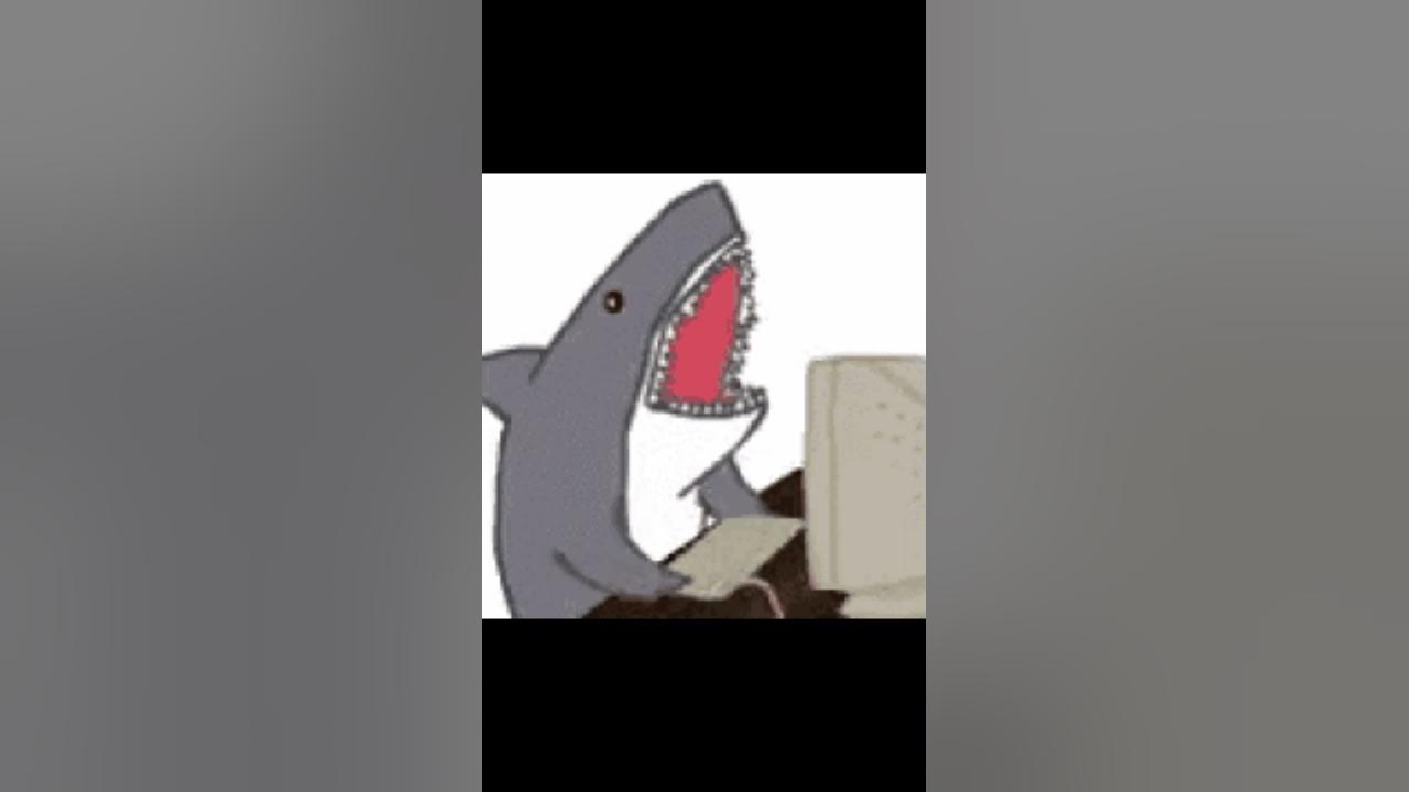 Shark plays on the computer - YouTube