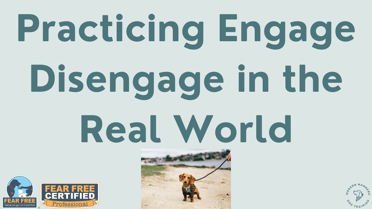 Practicing Engage Disengage with Triggers in the Real World - YouTube