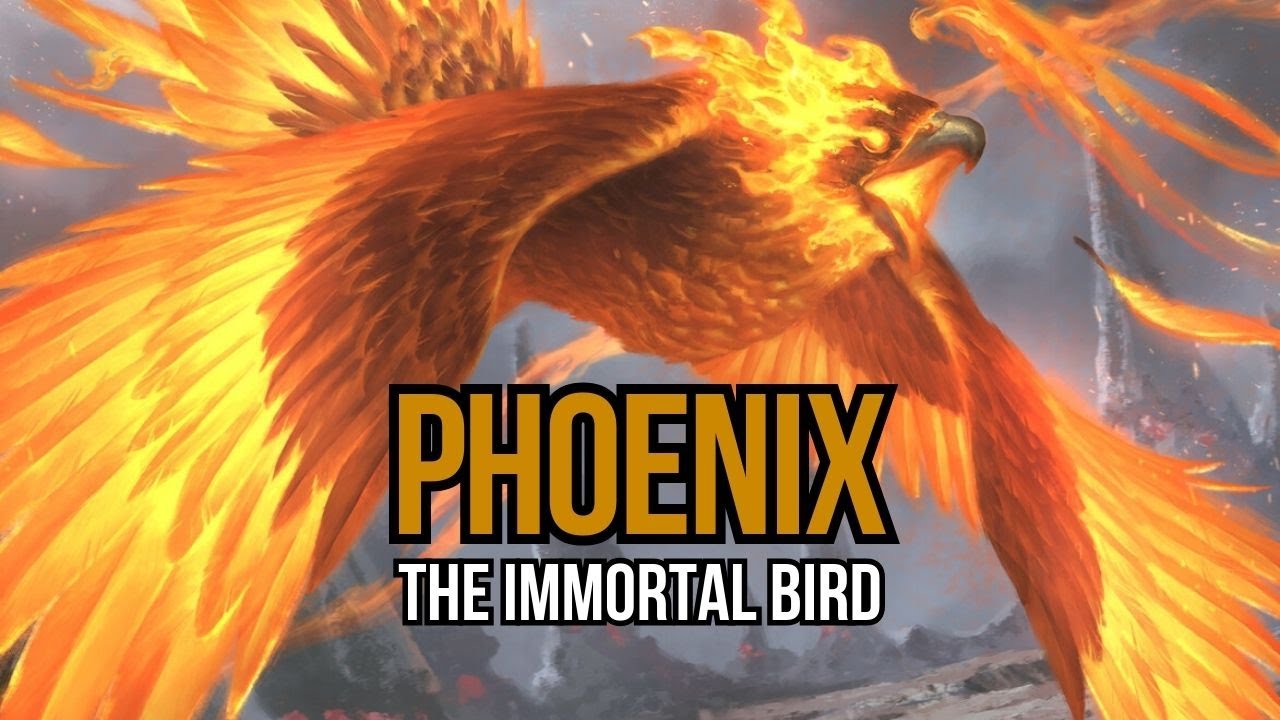 Phoenix: History of the Immortal Bird - Mythological Beasts - YouTube