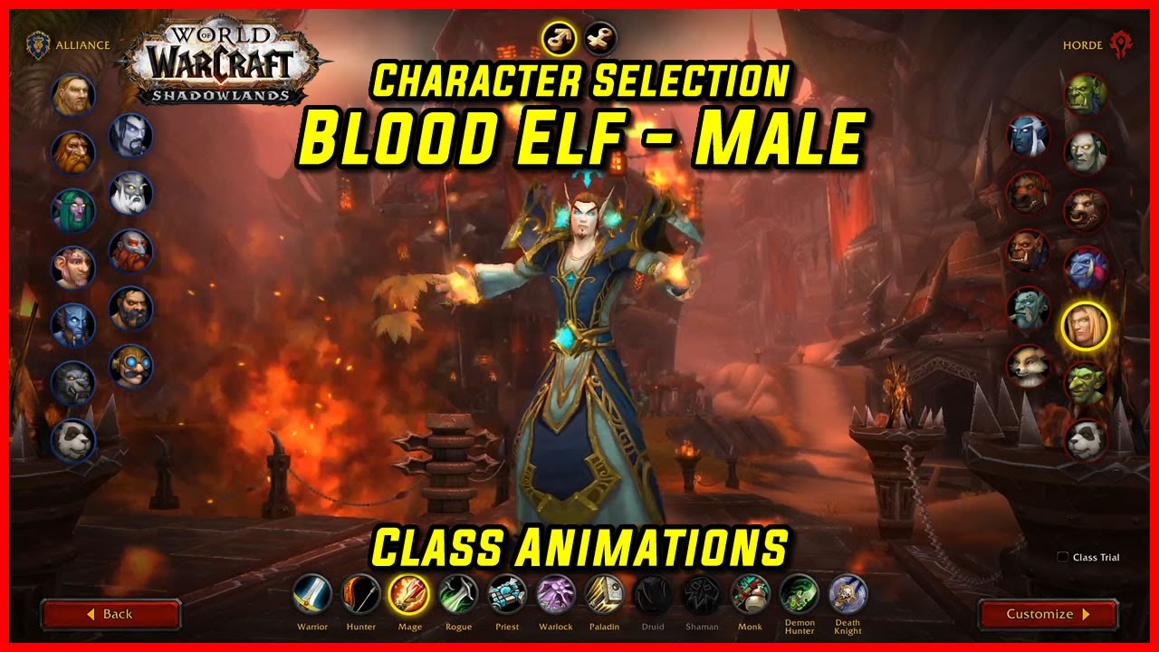 WoW Class Animations - Blood Elf Male - WoW Shadowlands Character ...