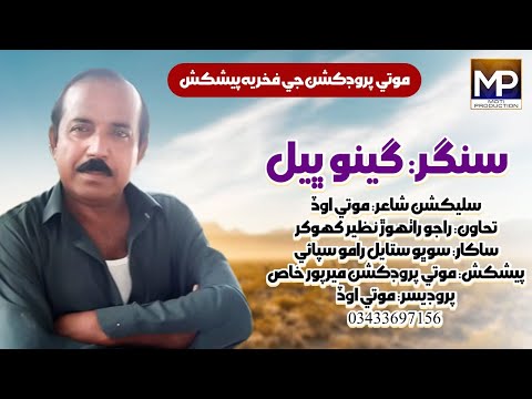 Haseena Popri Aa | Geno Bail | Sindhi Song 2024 | Moti Production
